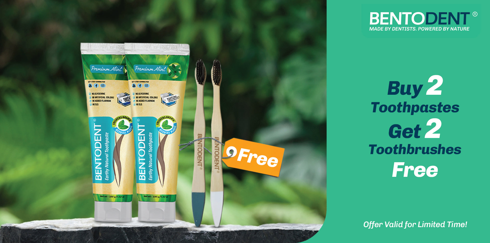 Bentodent Natural Toothpaste - Fluoride Free & Sulfate free– Indian ...